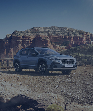 Asegura el Subaru de tus sueños